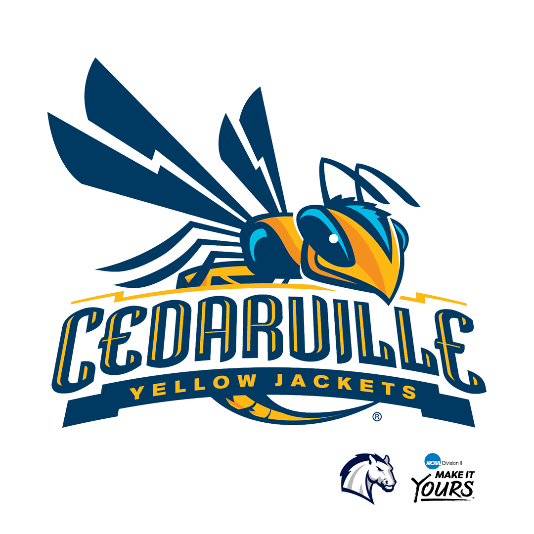 Hillsdale College | Athletics Ticketing - W Basketball vs. Cedarville ...