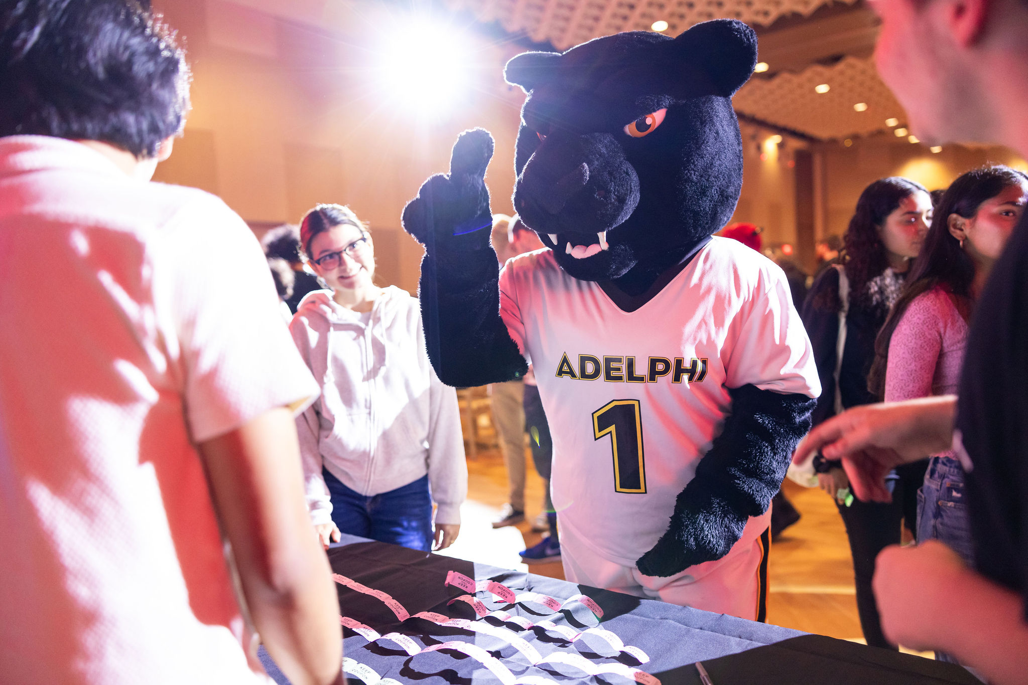 Adelphi - Casino Night 2025