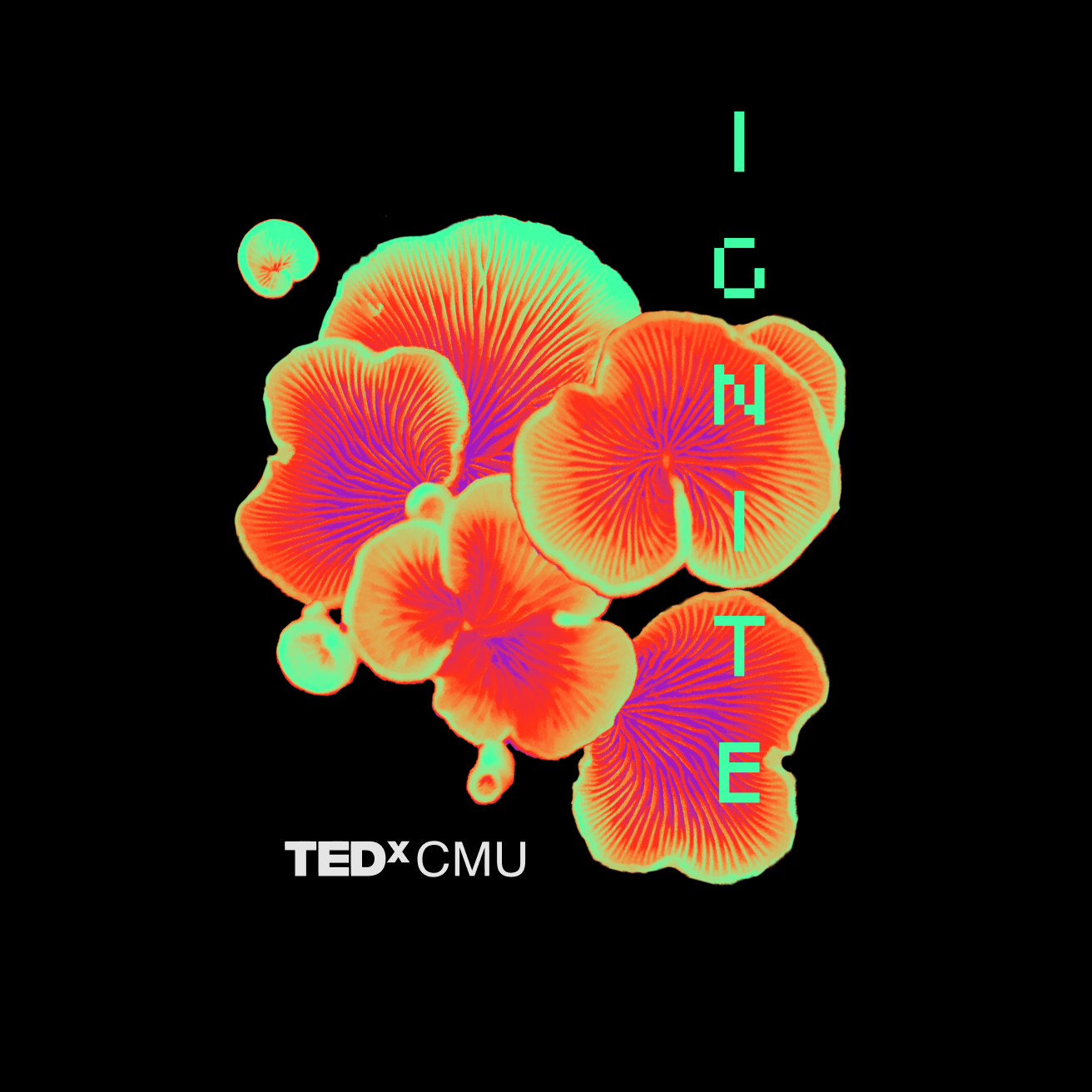 CarnegieMellonTickets - TEDxCMU: Ignite
