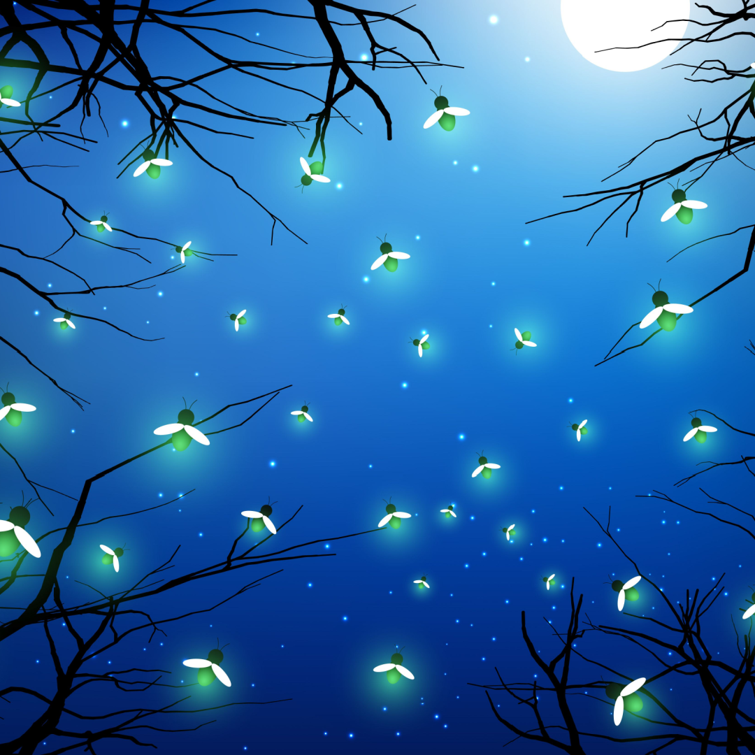 San Diego State University, College for Professional Studies and Fine ...