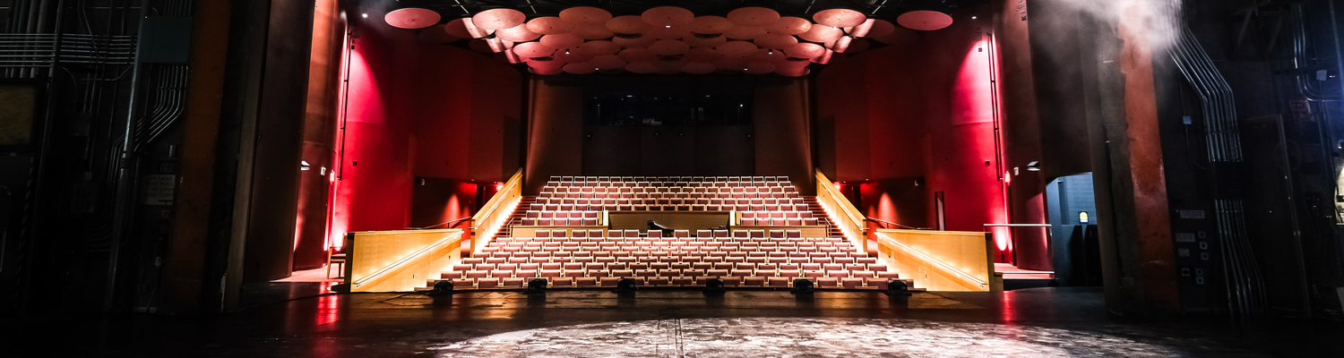 San Diego State University, College for Professional Studies and Fine ...